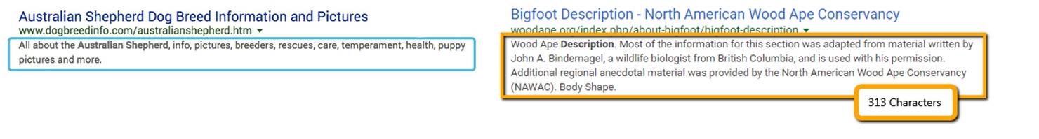 Google Increases Meta-Description Character Count | Brave River Solutions